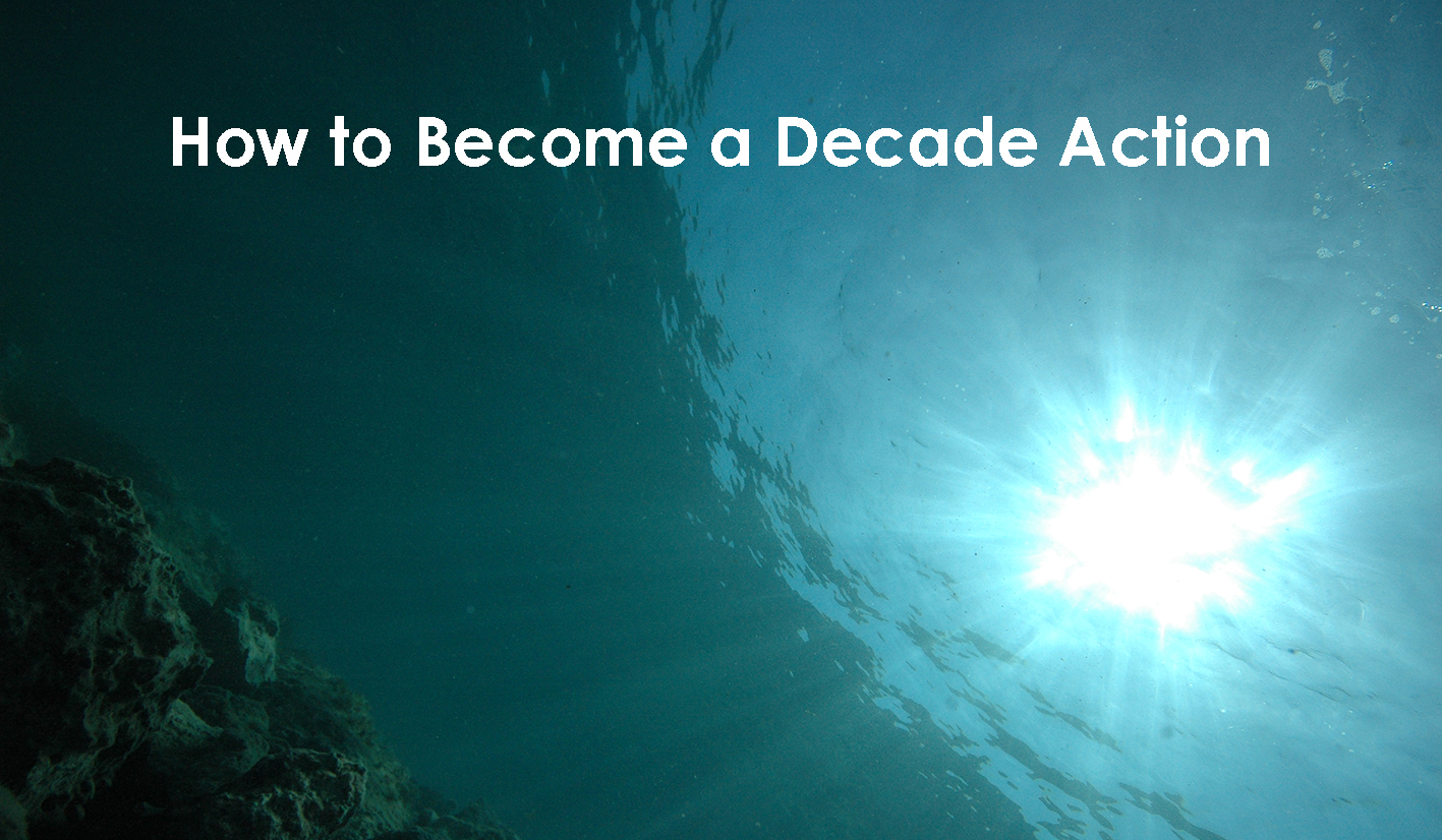 Webinar: How to Become a Decade Action - Ocean Decade Heritage Network